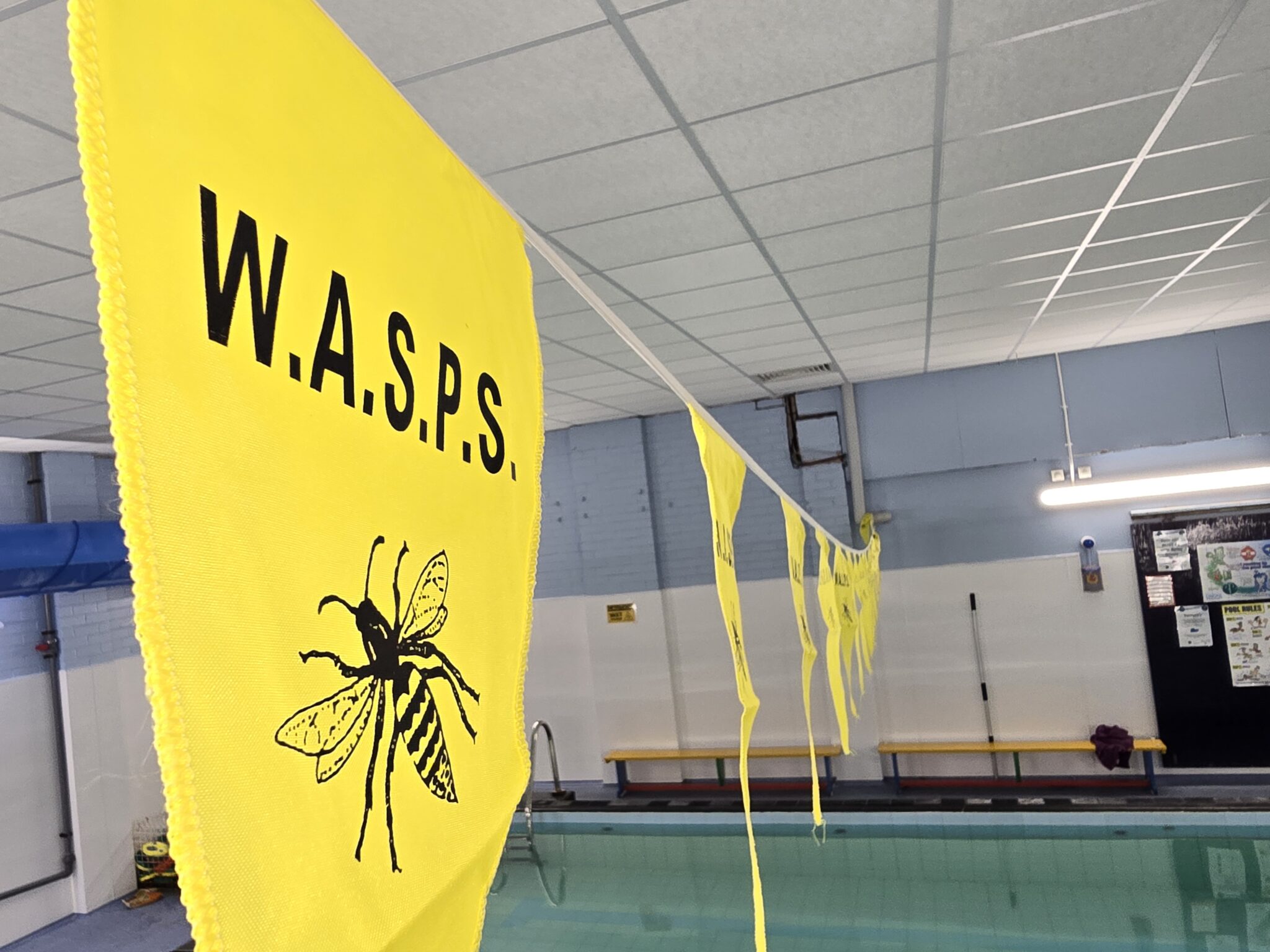 MILLENNIUM W.A.S.P.S – THE LATEST NEWS: - Warley & Millennium WASPS ...